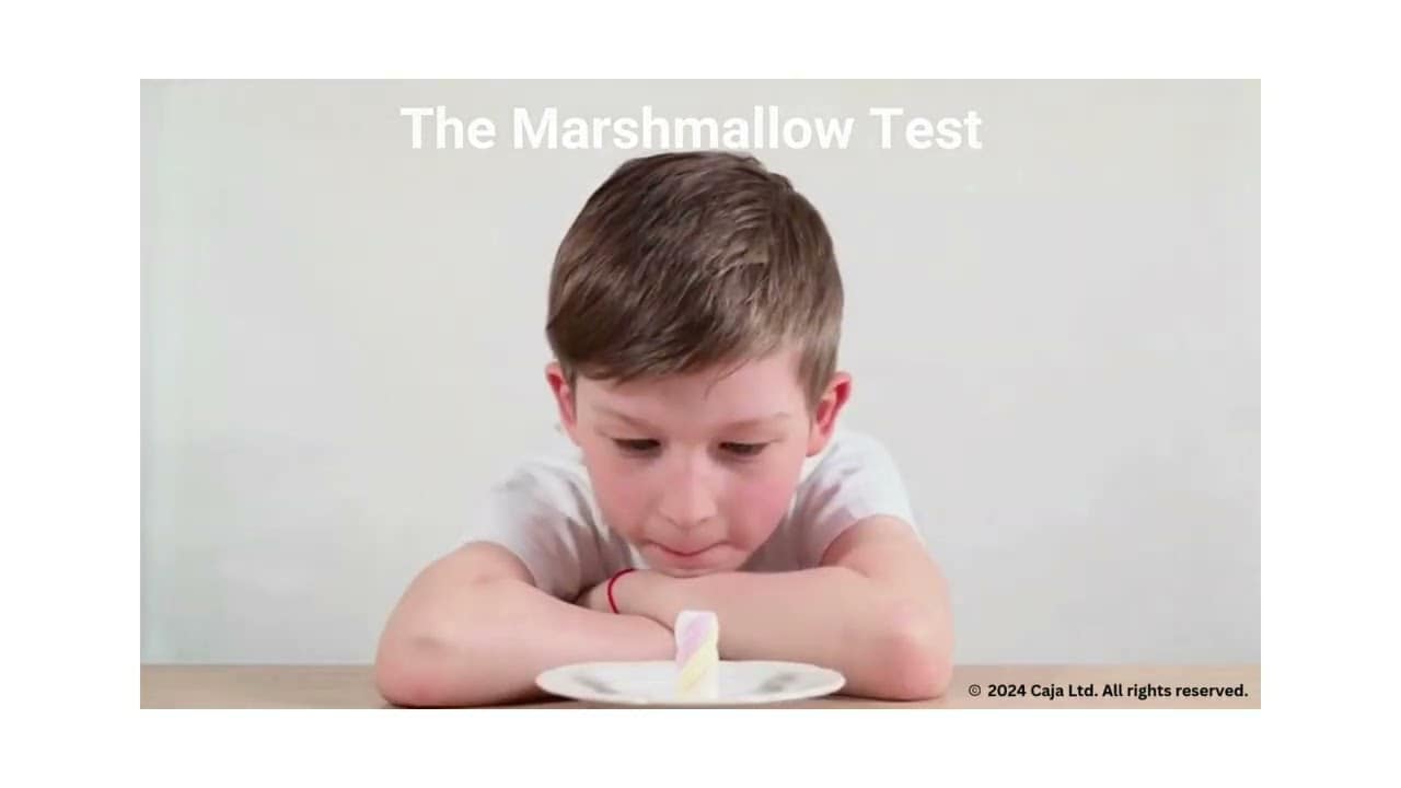 The Marshmallow Test - Delayed Gratification and Present Bias - CAJA